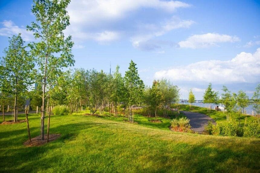Discover Toronto's Best Parks: Your Ultimate Guide