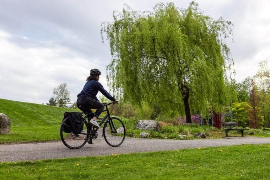 Top 9 Parks In Surrey BC For Leisure Time