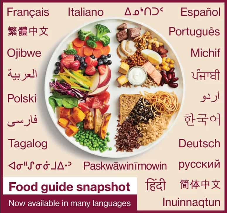 Navigating Nutrition: A Deep Dive Into Canada's Food Guide - Canada Hustle