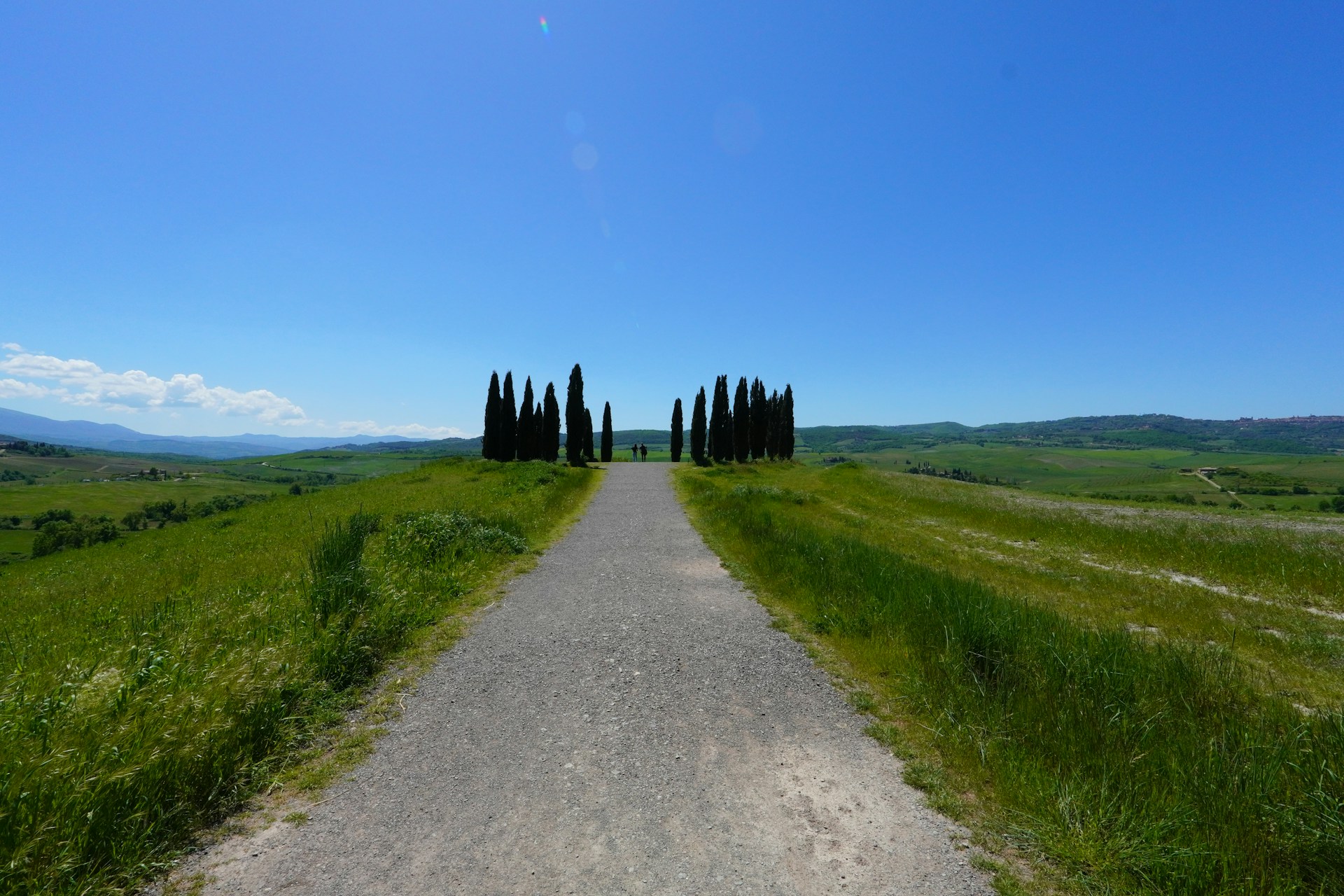 Exploring Cypress Hills: Where Prairie Meets Sky - Canada Hustle